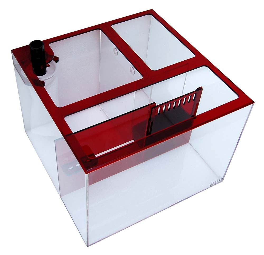 Trigger Systems Ruby CUBE Sump - 20 inch – The Pet Source